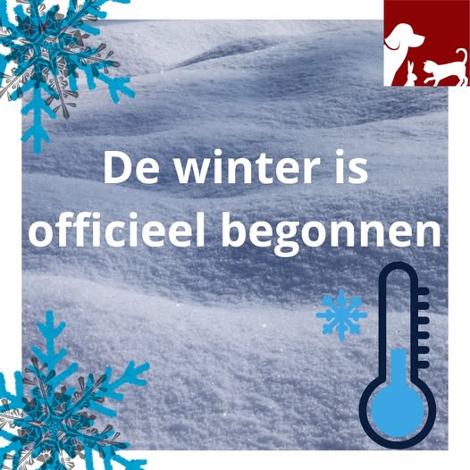Winterweer tips! - Dierenkliniek IJsselmuiden